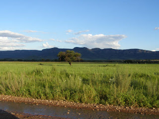 Alejandro Paredes: vive la Tradición... Tejamen