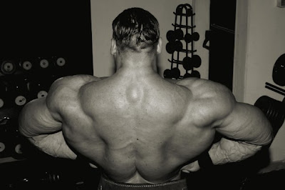 Muscle Lover: Italian IFBB Pro bodybuilder Daniele Seccarecci