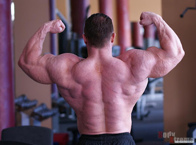 Muscle Lover: Ronny Rockel pumped at the gym