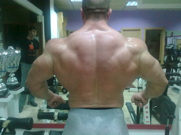 Muscle Lover: Spanish huge bodybuilder Alfonso Del Fresno "El Tigre"