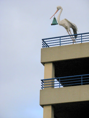 San Diego Daily Photo: May 2009