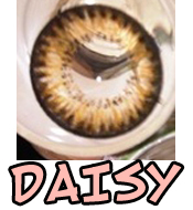 DAISY : YOU CAN BUY DISCOUNT CONTACT LENS - Wholesale Geo Contact ...