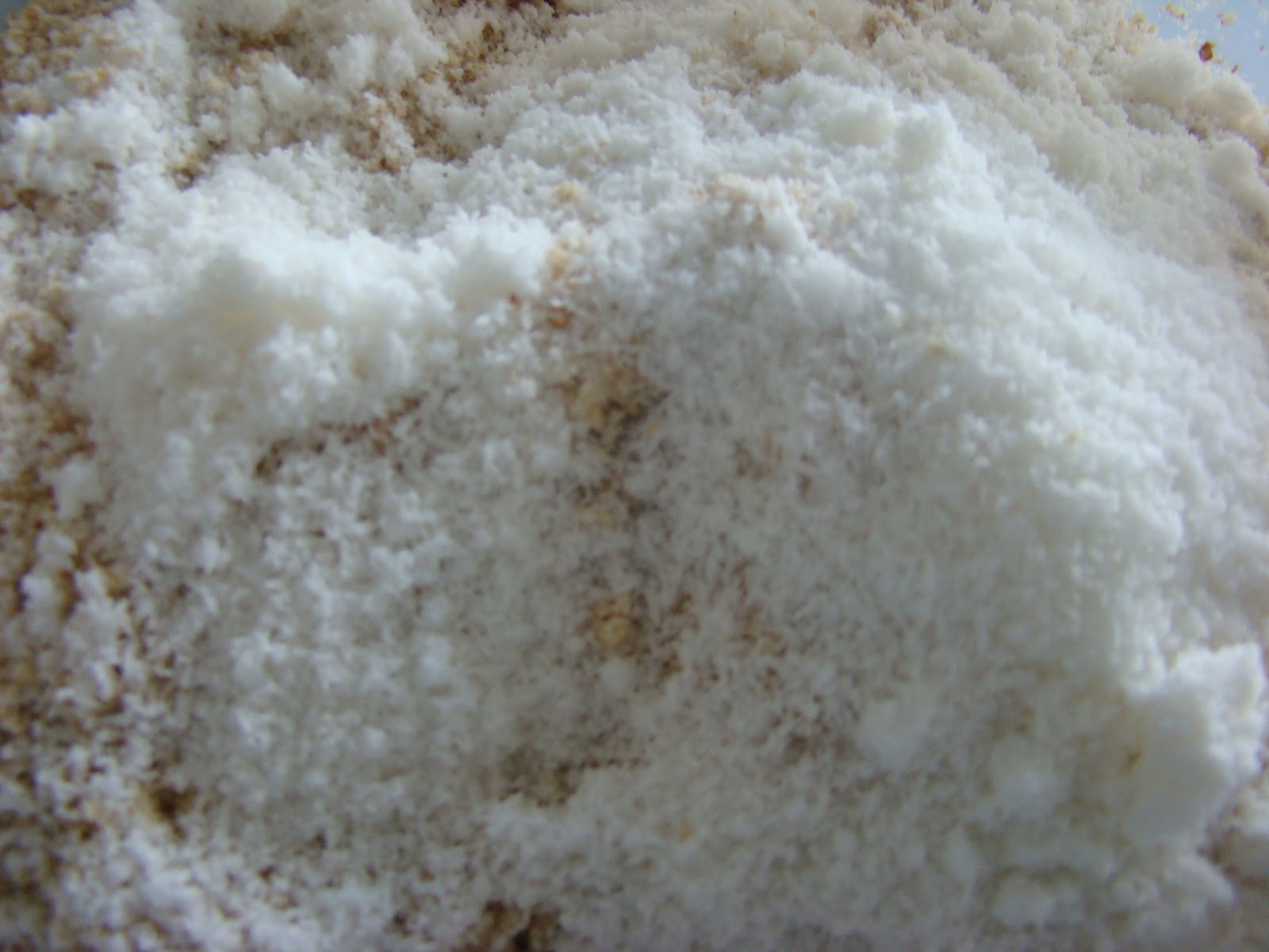 palate corner: dinkache laadoo/gond ke ladoo/edible gum sweet balls