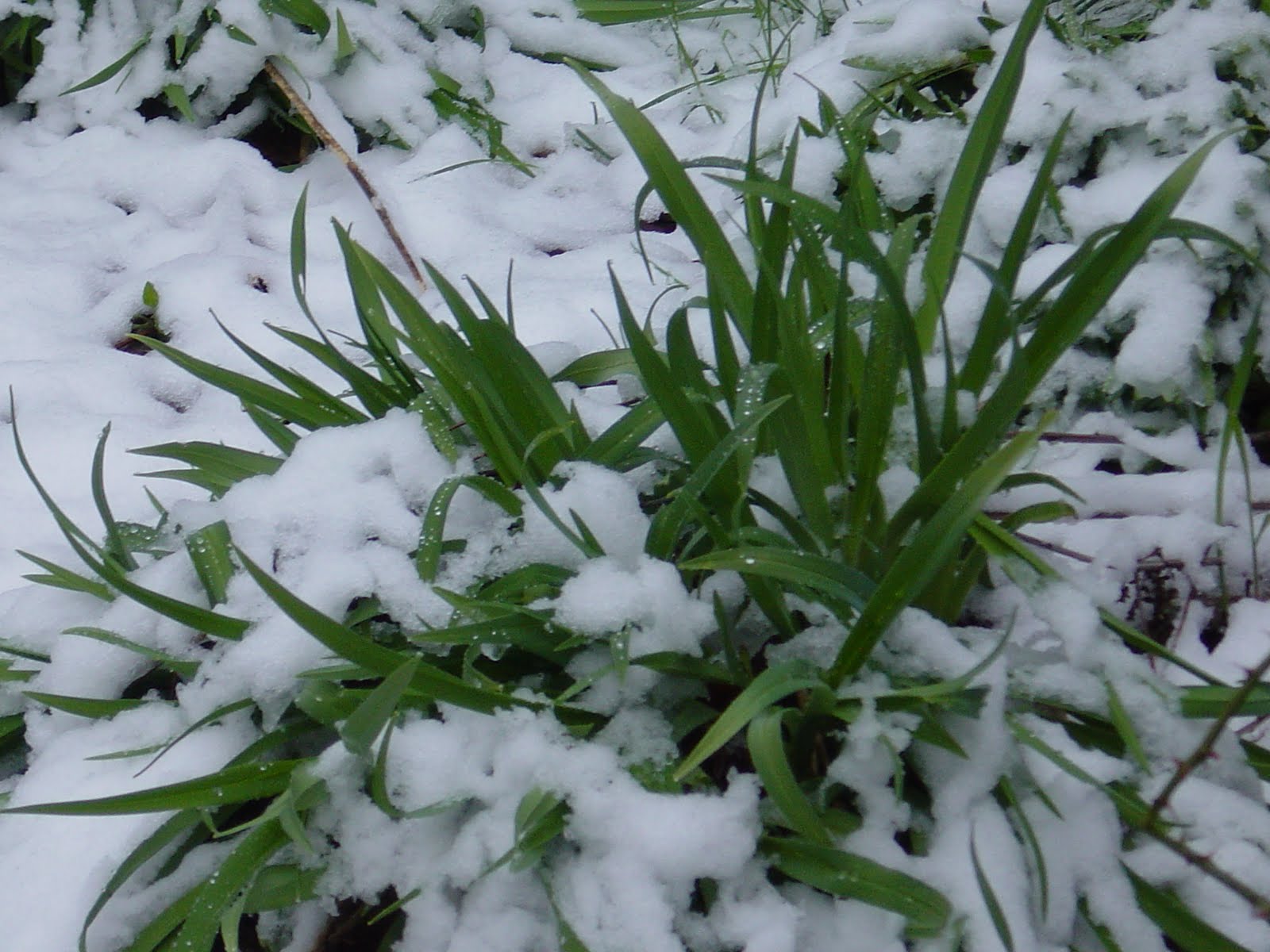 25. 26. Snow in the middle of May!27. 28.