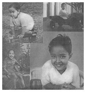 वीरेन्द्र वीर विक्रम शाह: king Birendra's biography: