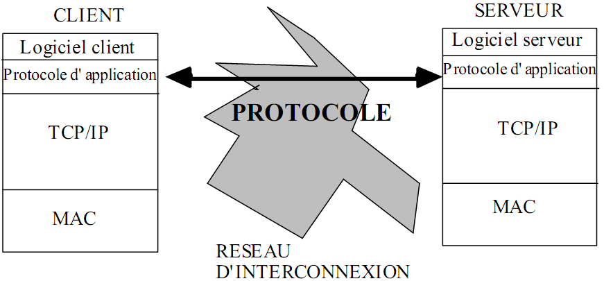 Exercices Utilisation de l'API socket TPs Réseau API Socket - HTTP ...