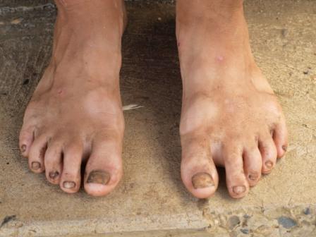 Marsh's Journey: Jungle Feet