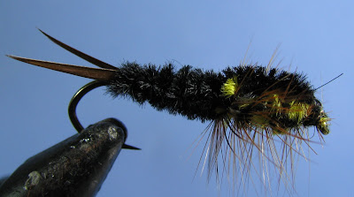 Central Alberta Fly Tying Club: Monday March 9th, 2009 Stellar Stoneflies