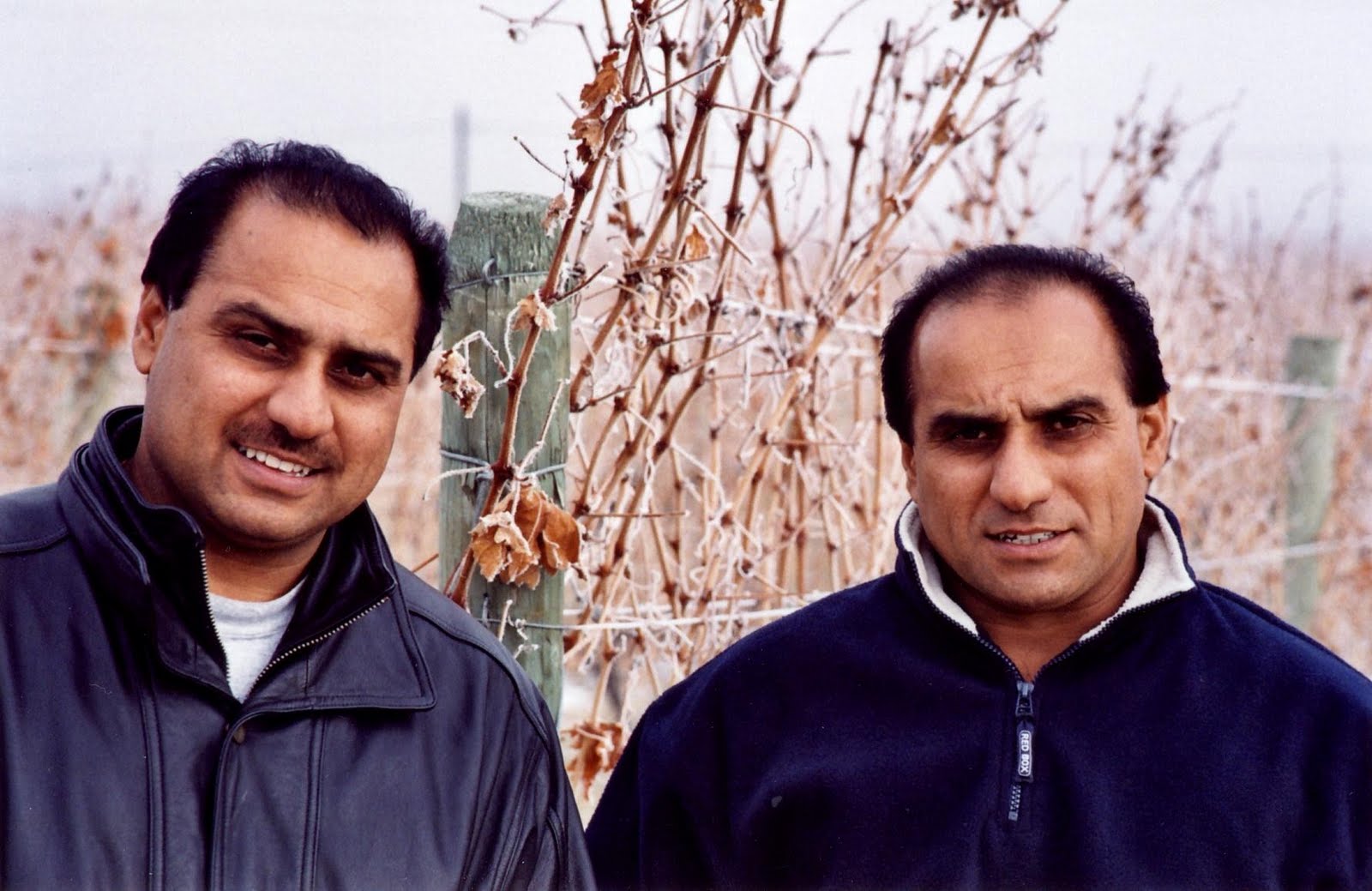 John Schreiner on wine: Lieutenant Governor's 2010 wine excellence winners