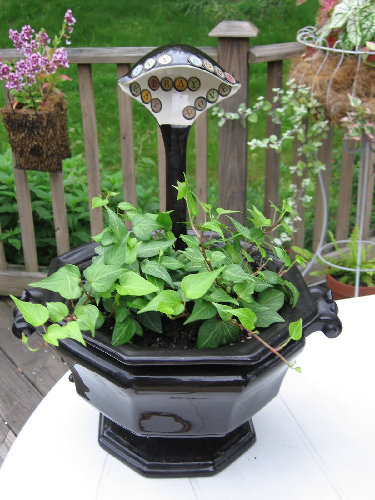 Robin's Nest Treasures: A Precious Early Morning Visitor and Glimpses ...