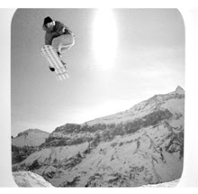 wild duck snowboards