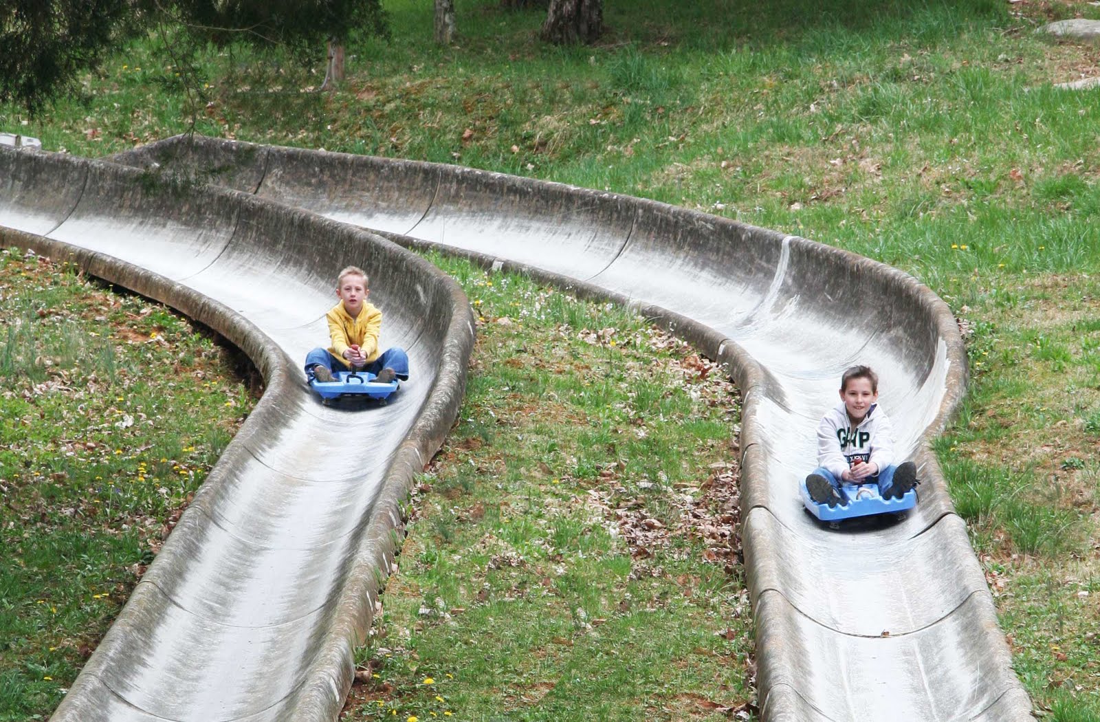 What's next???: Spring break - Alpine Slide and Mammoth Cave National Park