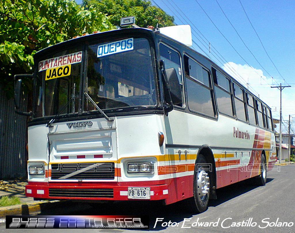 Buses Costa Rica: Galería 37-2010