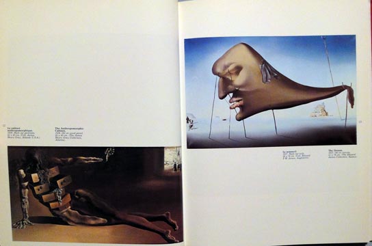 Salvador Dali Book Collector: Books About Dali.