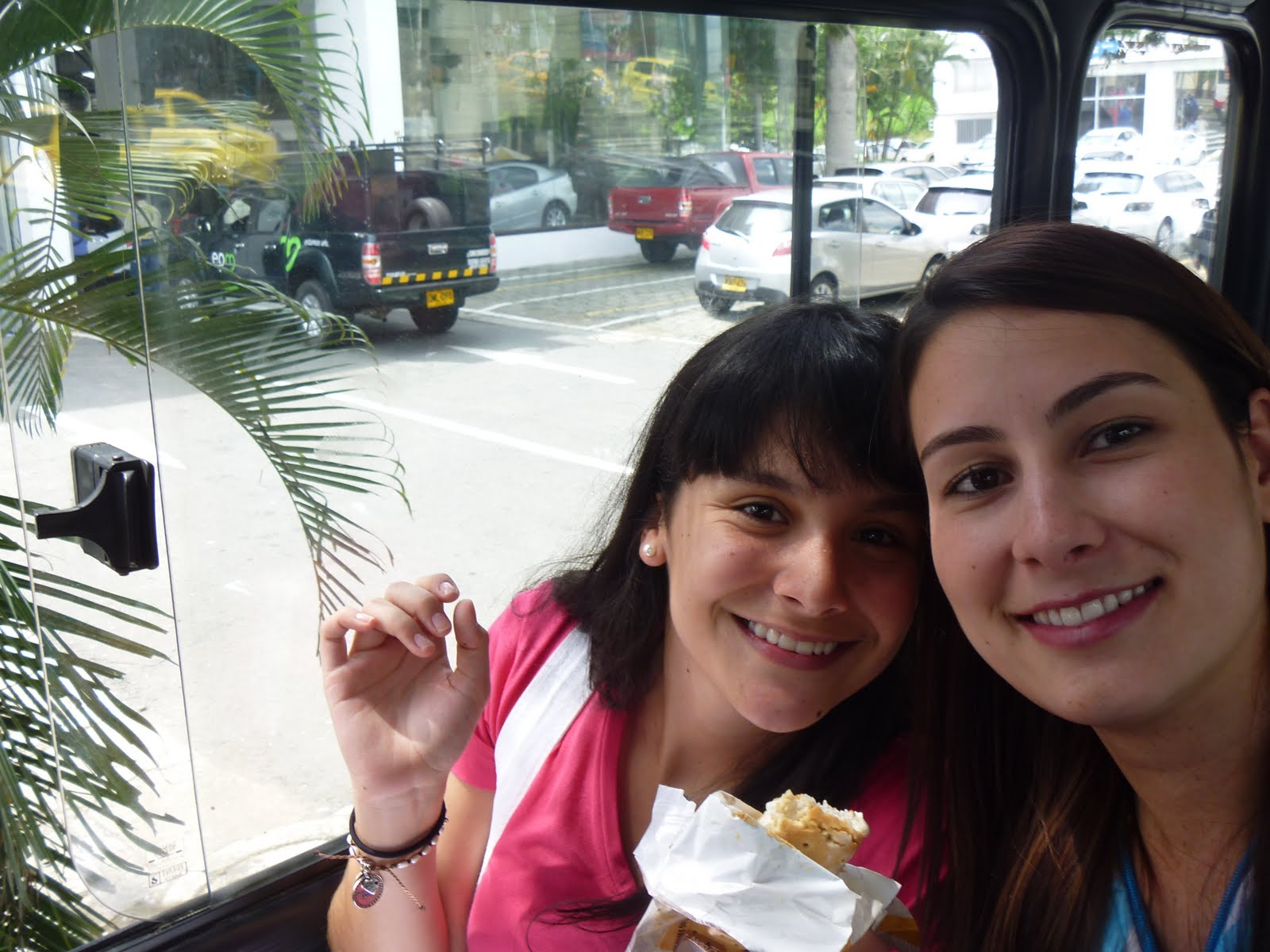 Mi vida relevante: Un paseo en el circular sur...