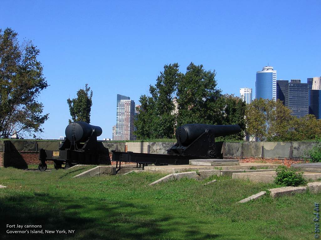 The City Birder: Governor's Island