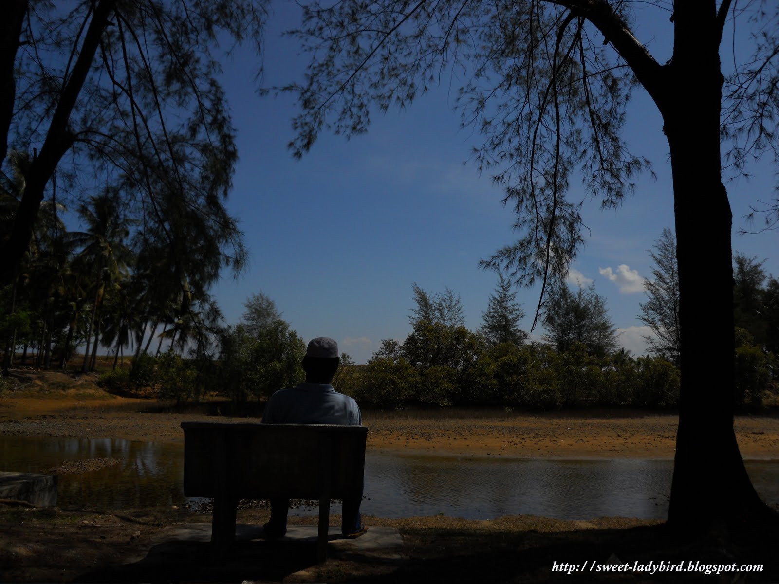 Pangkin | LadyBird's Life