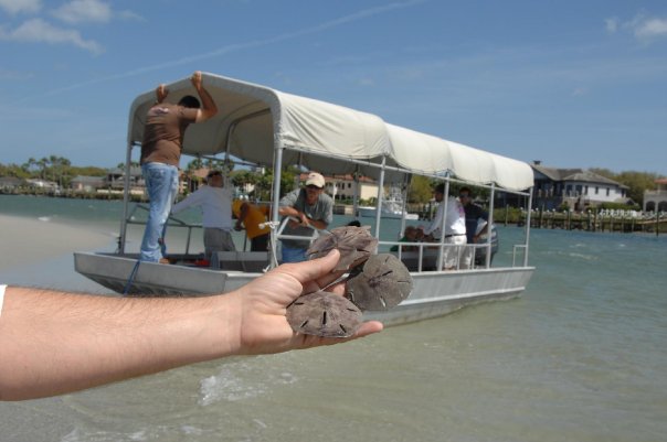Ponce Inlet Watersports