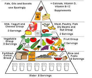 We are what we eat: FOOD PYRAMID