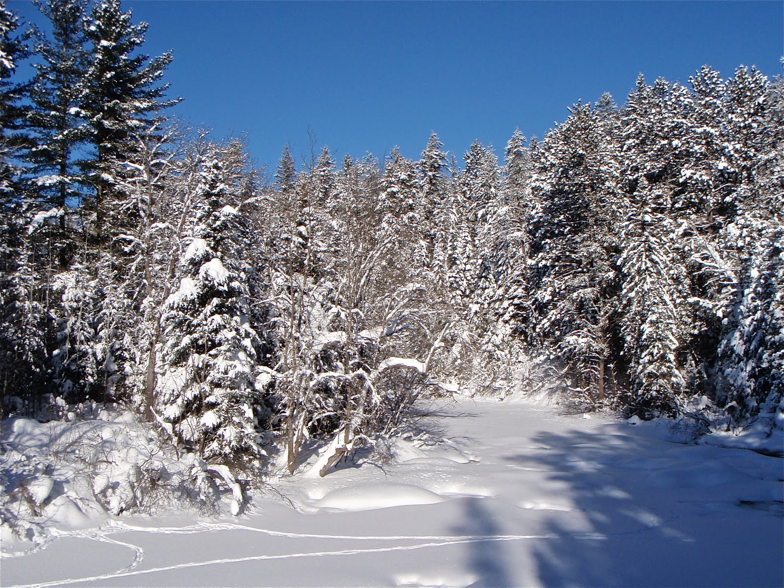 Bill's Magical Mystery Tour...: A Real Northern Minnesota Winter