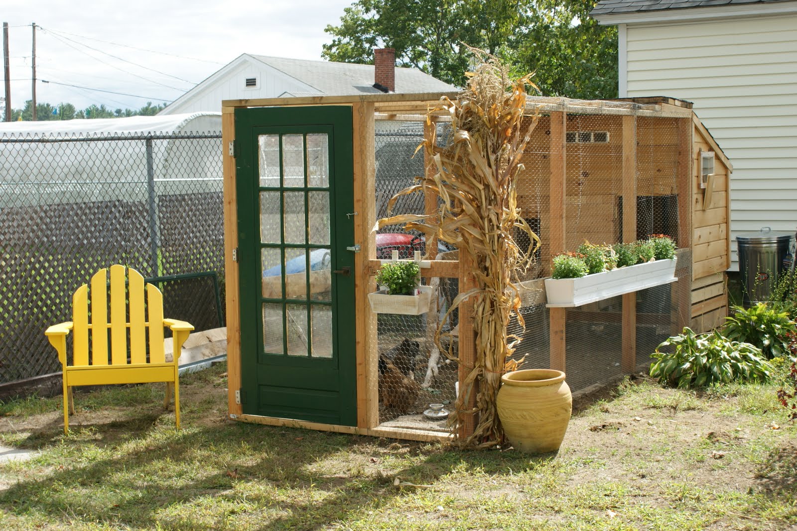 Chicken Head Farm