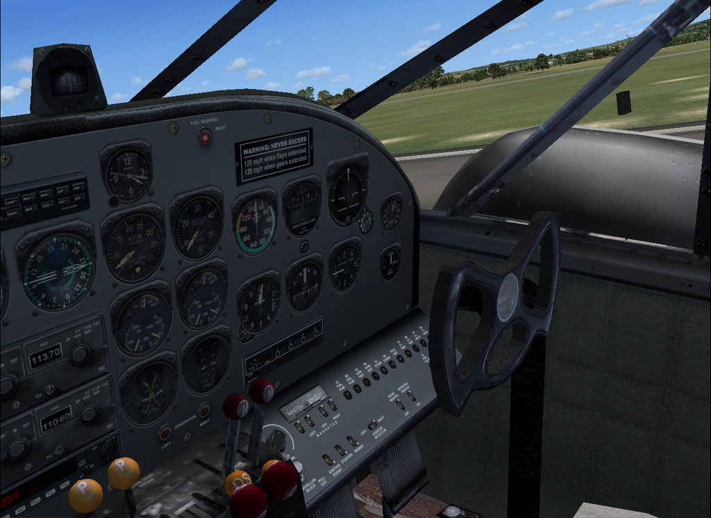 FlySim&Real: giugno 2010