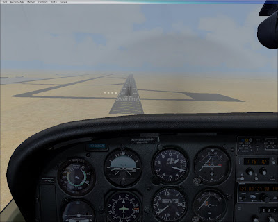 FlySim&Real: giugno 2010