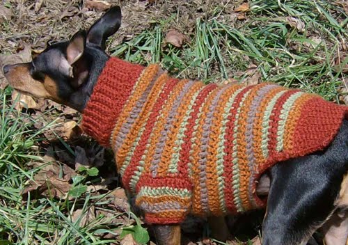 Min Pin Sweater Paradise: Autumn Stripes Crochet Min Pin Sweater