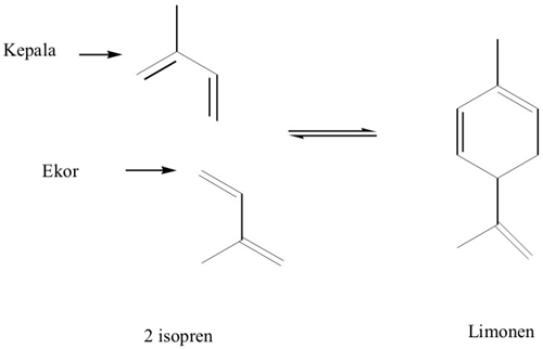 Rumah Kimia: ATURAN ISOPRENA