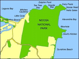 Noosa and Surrounding Suburbs: Noosa Beaches