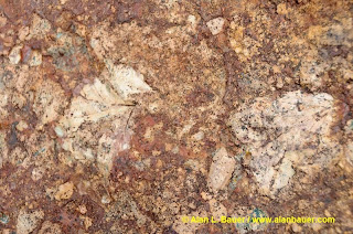 Alan Bauer Photography & Nature Blog: Central Oregon roamings, part 2 ...