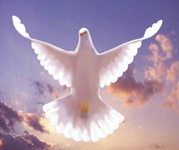 Photos Of Biblical Explanations Pt. 1: Dove Descending