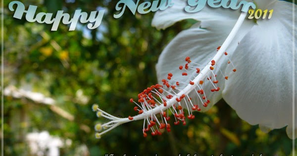 Platform7 by Binai Sankar