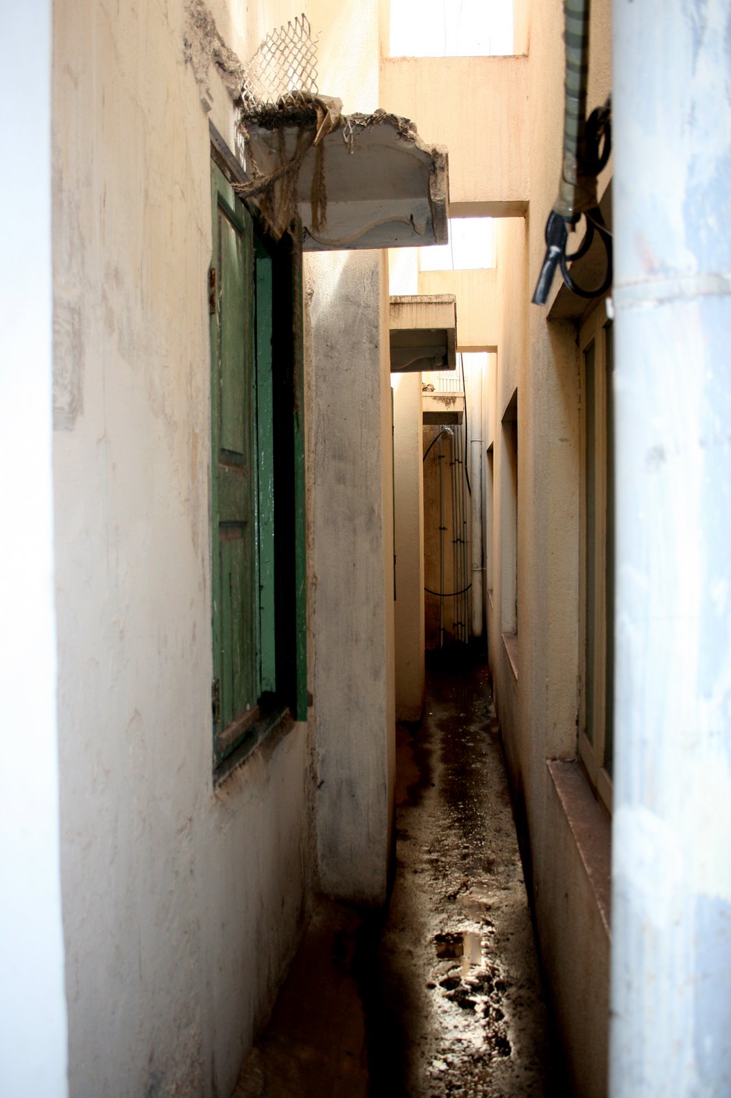 TWENTY SIX HOURS IN CHENNAI / POOBERRY SEEES | Pootsville