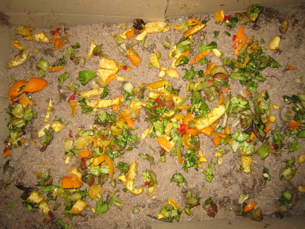 Emerald Garden: Takakura Home Composting Part 3