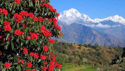 nepal: natural beauty of nepal