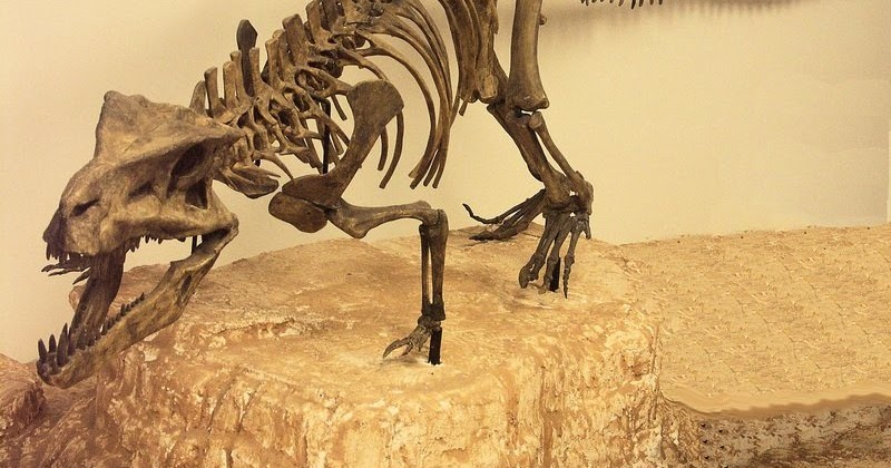 Postosuchus Skeleton