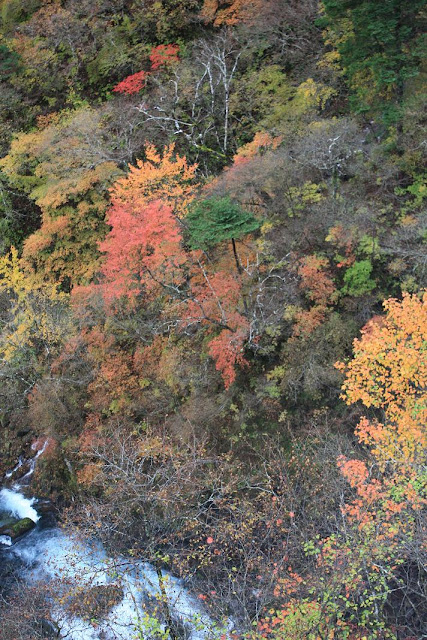 worldstallestpygmy: Nikko – not the temples, it autumn