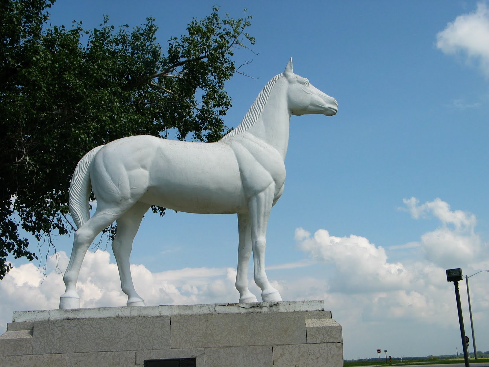 Camperreis in Canada: Het Witte Paard