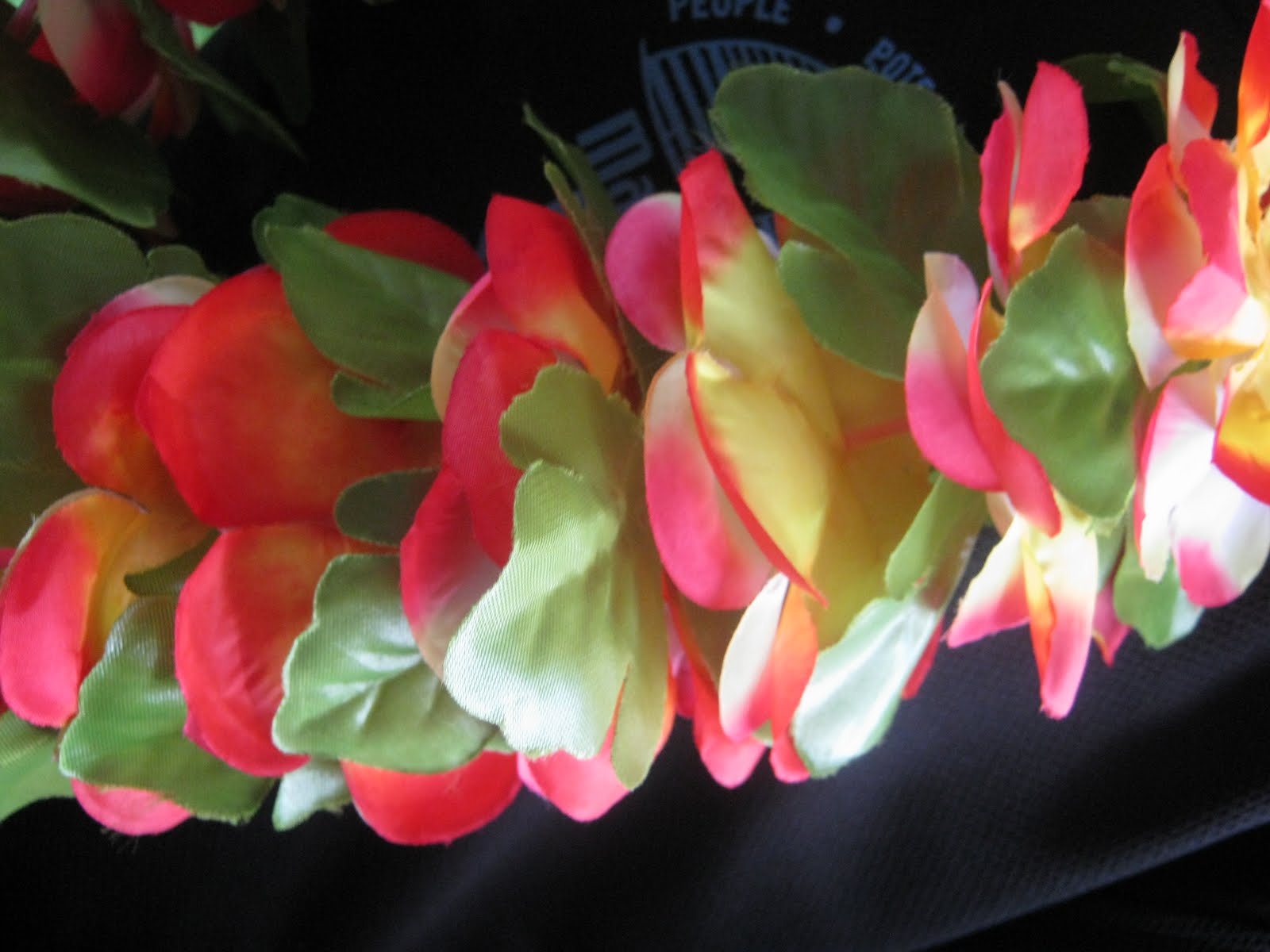 Learning for Life: Ula making with Mareatai Beach School