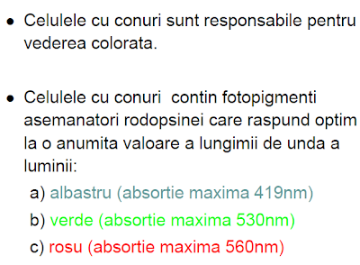 Ochiul: Vederea Cromatica