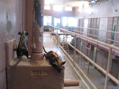 Globspot: What happens to rats in jail? (Well, mice anyway)