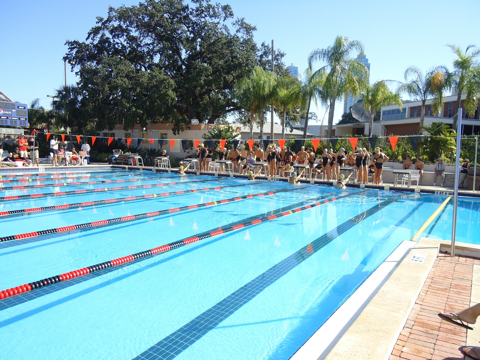 Trinity Tiger Swimming: October 2010