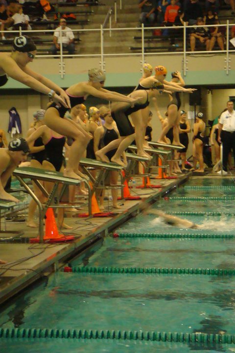 Trinity Tiger Swimming