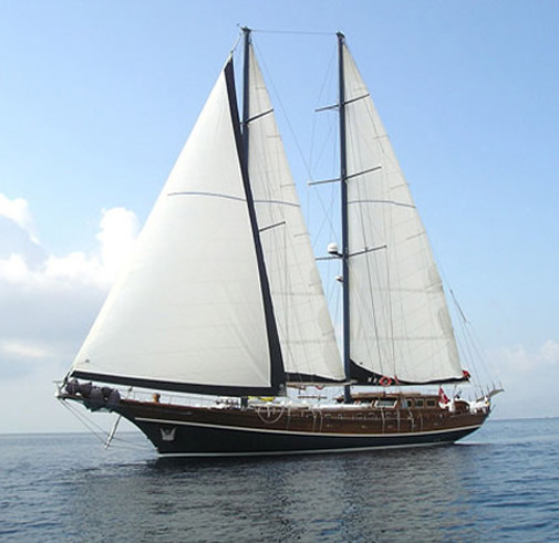 Coronel Von Rohaut: Goletas en la mar