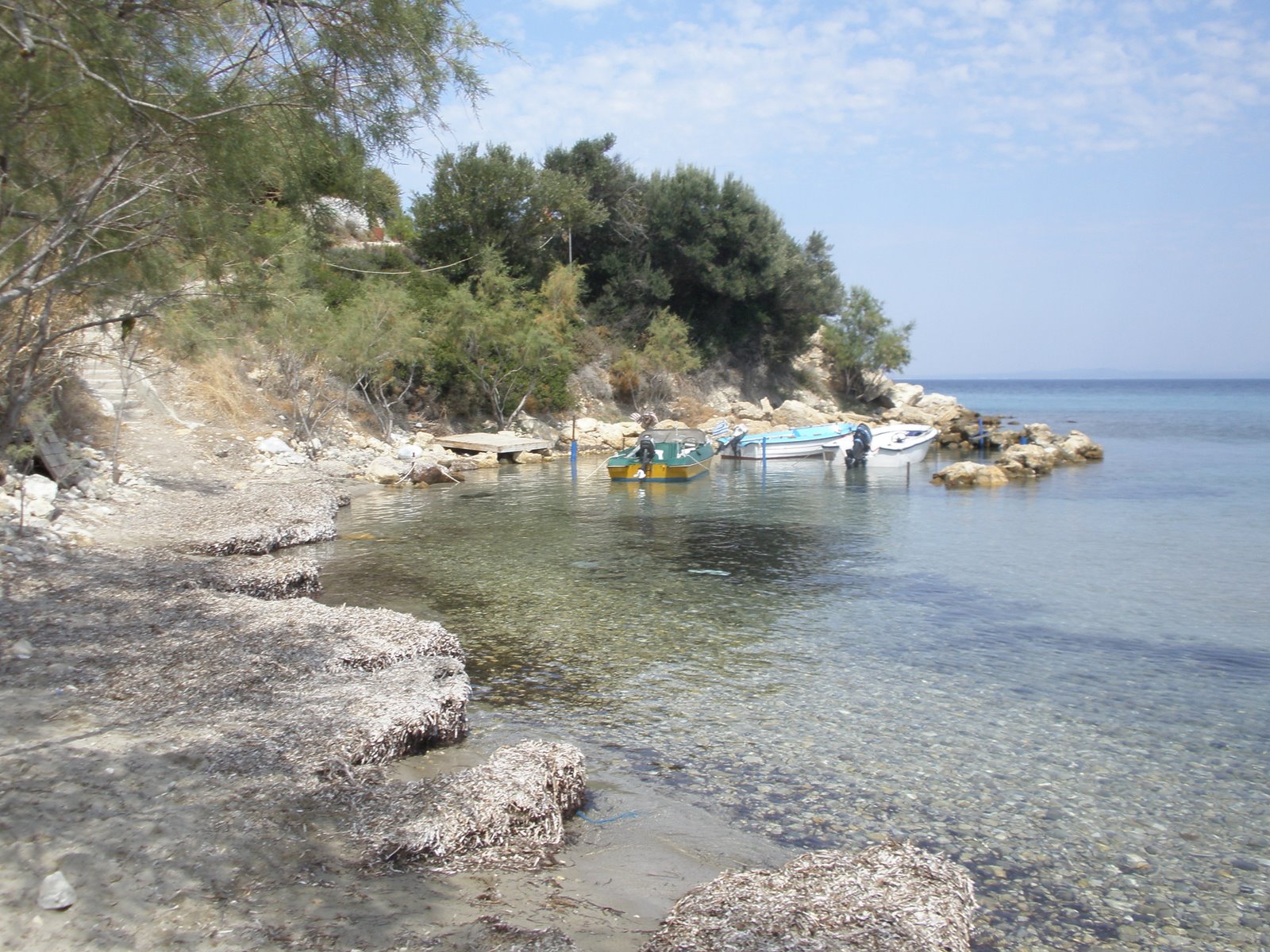 ΜΥΤΙΛΗΝΗ: ΒΙΓΛΑ