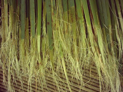 goosepark: flax blog