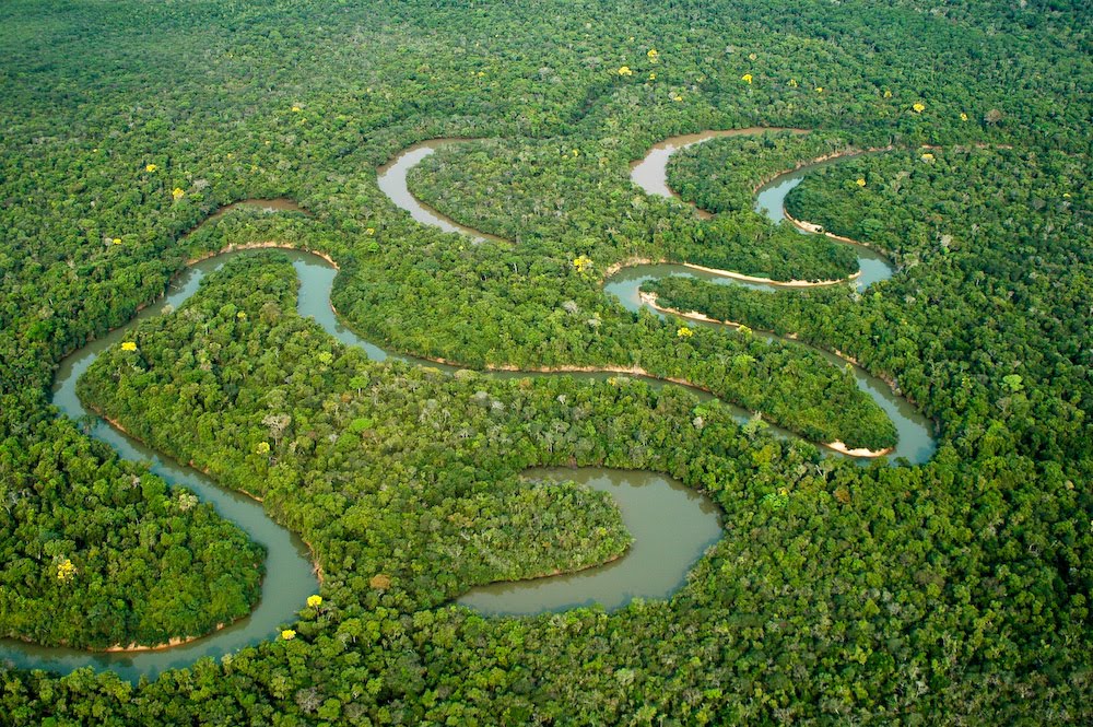 Amazônia News: Bacia Amazônica