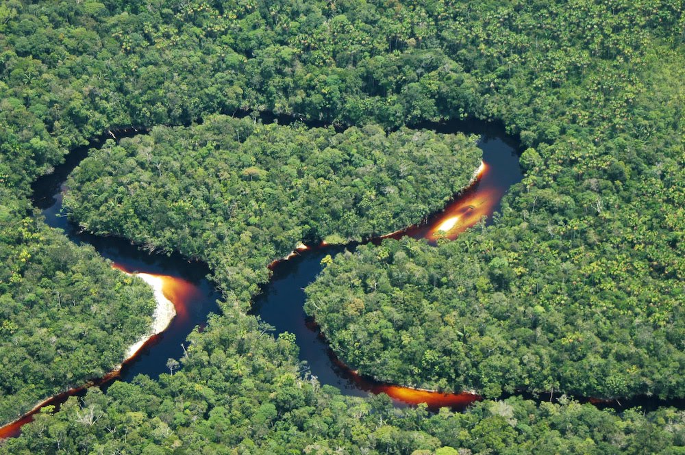 Amazônia News: BRASIL É O QUE MAIS PRESERVA FLORESTAS NATURAIS NO MUNDO
