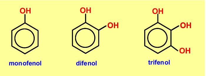 química orgánica : compuestos oxigenados